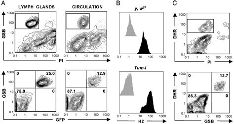 Fluorescence Activated Cell Sorting Facs Of Drosophila Hemocytes