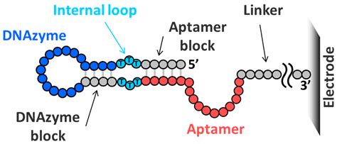 Sensors Free Full Text An Aptamer Based Biosensor For Direct Label