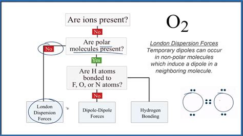 Intermolecular Forces For O2 Molecular Oxygen Diatomic Oxygen Youtube