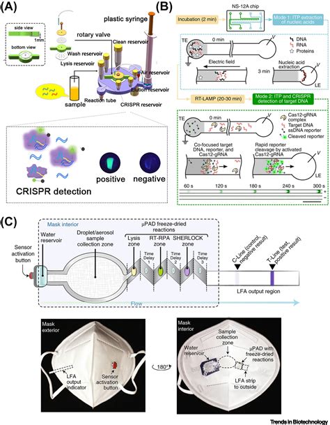 Microfluidics The Propellant Of Crispr Based Nucleic Acid Detection