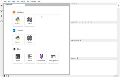 a visual debugger for jupyter most of the progress made in software