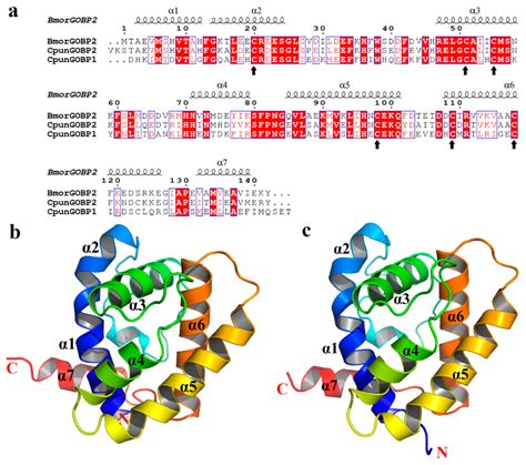 insects free full text gobp1 plays a key role in sex pheromones and