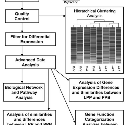 microarray data processing events sequence flow chart and hierarchical
