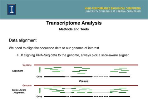 Ppt Rna Seq And Transcriptome Analysis Powerpoint Presentation Free