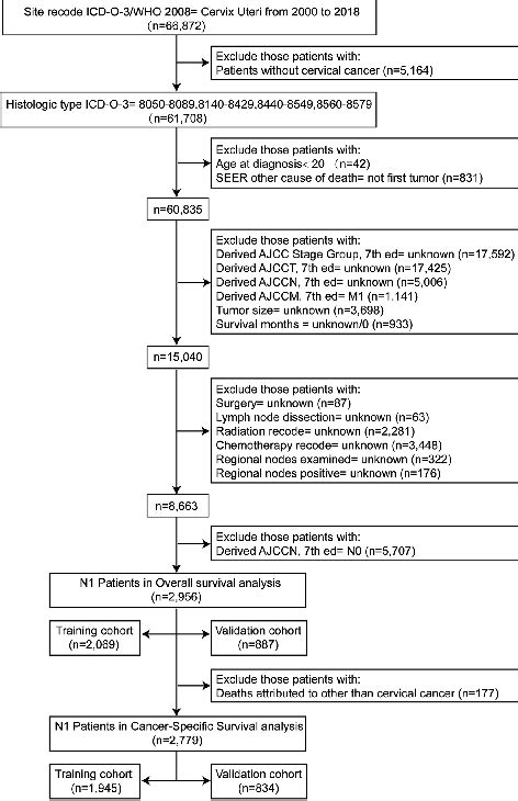 Figure 1 From Development And Validation Of Novel Nomograms To Predict