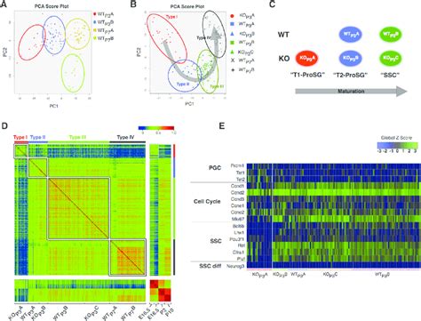 single cell rna seq analysis of id4 egfp cell subsets a pca of