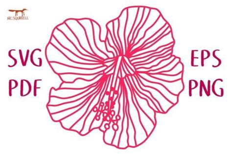 Hibiscus Flower Svg Cut File Graphic By Nic Squirrell · Creative Fabrica