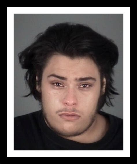 Driver Arrested After Hitting New Port Richey Home New Port Richey