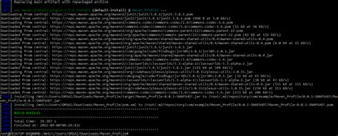 maven build command managing and building the maven project