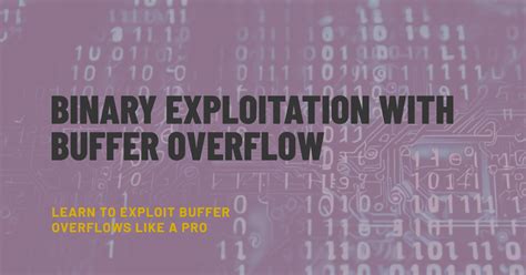 binary exploitation basics — int limits and buffer overflow by vicio