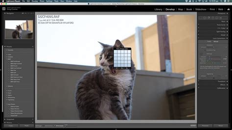 Understanding Chromatic Aberration And How To Correct It