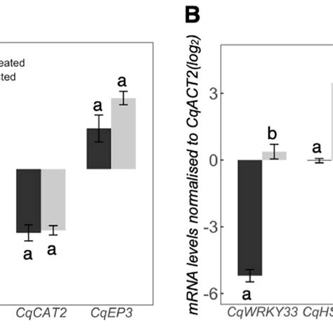 Gene Expression In Quinoa Plants In Response To P Variabilis The