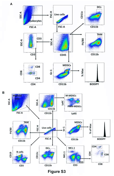 Flow Cytometry Plots Illustrating The Gating Strategy Used For Download Scientific Diagram