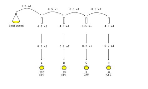 Answers For Serial Dilution Problem 4