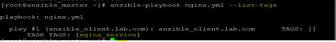 ansible playbooks guide to attributes and arguments of ansible playbook
