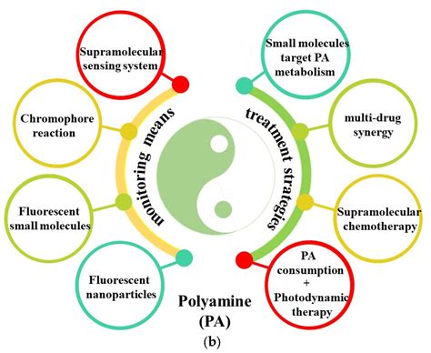 Biosensors Free Full Text Recent Advances In Fluorescent Methods