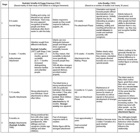 Stages Of Attachment