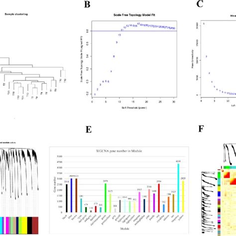 Wgcna Of Aeg Rna Seq Data A Sample Clustering To Detect Outliers All
