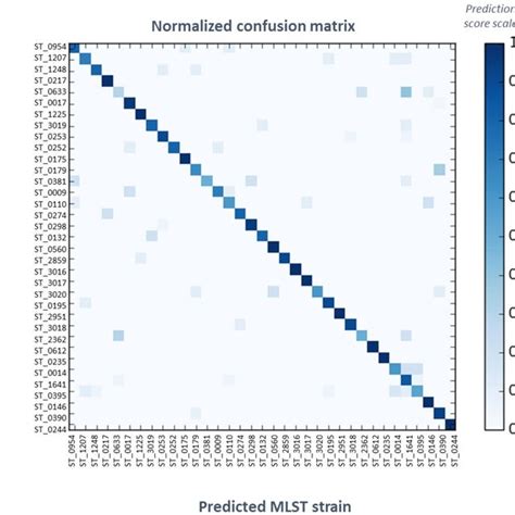 Confusion Matrix For Random Forest Classification Of 45 P Aeruginosa