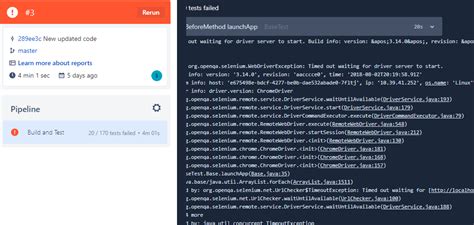 selenium with bitbucket pipeline is causing timed