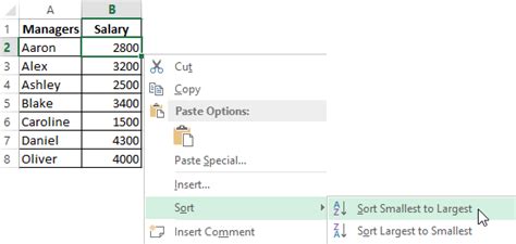 possibilities of sorting data in excel by the list