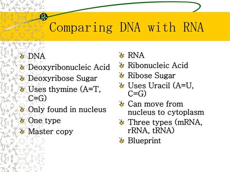 Ppt Rna Structure Powerpoint Presentation Free Download Id 4287130