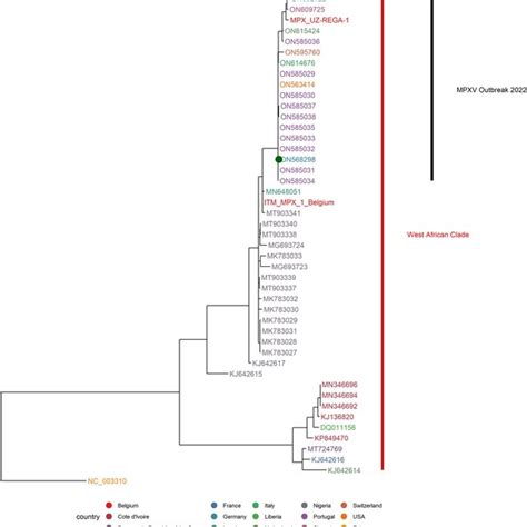 Histogram Plot Of Mpxv Genome Copies Per Ml Found In Patient Samples