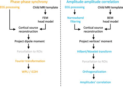 Figure 1 From Eeg Functional Connectivity Analysis In The Source Space