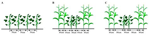 Agronomy Free Full Text Analysis Of Grain Yield Differences Among