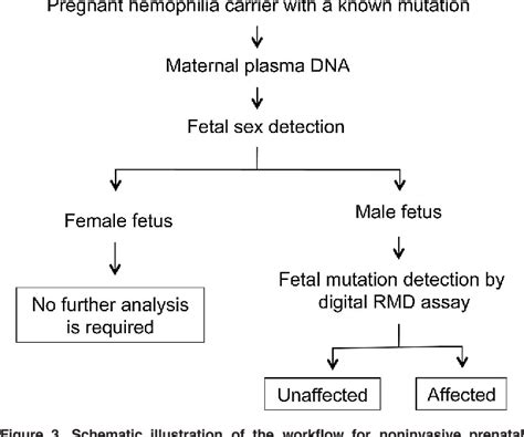 Figure 1 From Noninvasive Prenatal Diagnosis Of Hemophilia By