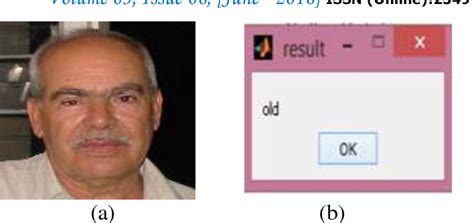 Figure 3 From Human Age Group Classification Using Facial Features