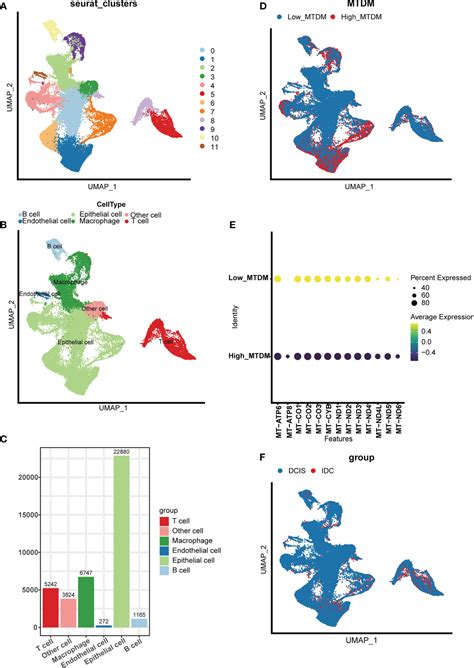 Frontiers Mitochondrial Dna Methylation Is A Predictor Of