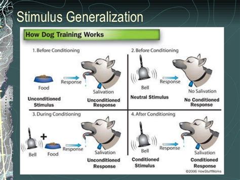 Stimulus Meaning