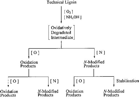 Scheme 1 Possible Reaction Pathways Download Scientific Diagram
