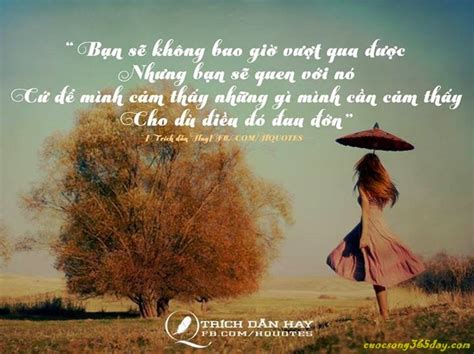 Câu Nói Hay Kèm Theo Hình ảnh đẹp Về Tình Yêu P1 Cuộc Sống 365 Day