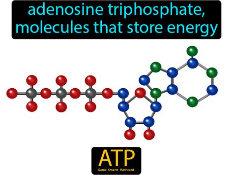 Atp Definition And Image Photosynthesis Flashcards Cellular Energy