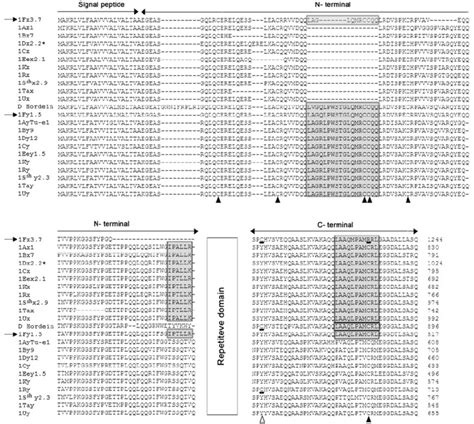 Amino Acid Sequence Alignments Signal Peptides And Nand C Terminal