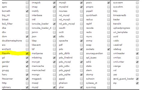 file upload the fileinfo php extension is not installed in real