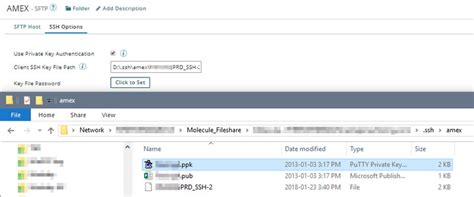 question error failed to load or parse ssh key boomi community