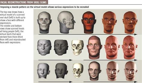 animation lets murder victims have final say new scientist