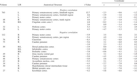 Somatosensory Cortex Resting State Functional Connectivity In