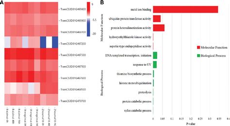 Frontiers Mapping Quantitative Trait Loci And Developing Their Kasp