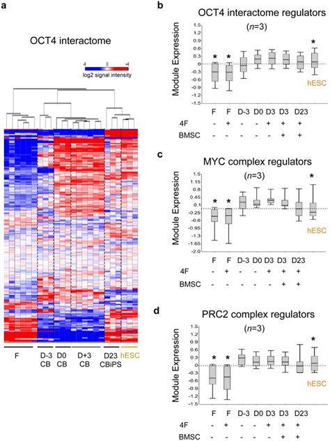 a unsupervised hierarchical clustering heatmap of
