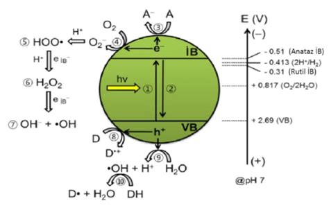 3 1 Schematic Representation Of Reactions Which Occur In Tio2 Photo
