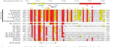 Figure 3 From Specific Recognition Of Linear Ubiquitin Chains By The