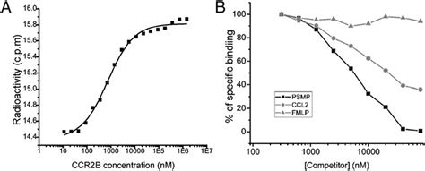 Radioligand Binding Assay Reveals That Psmp Binds To Ccr2b With High