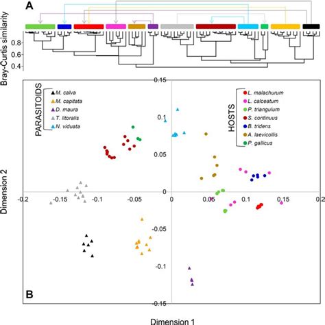 A Dendrogram Based On The Agglomerative Cluster Analysis Bray‐curtis