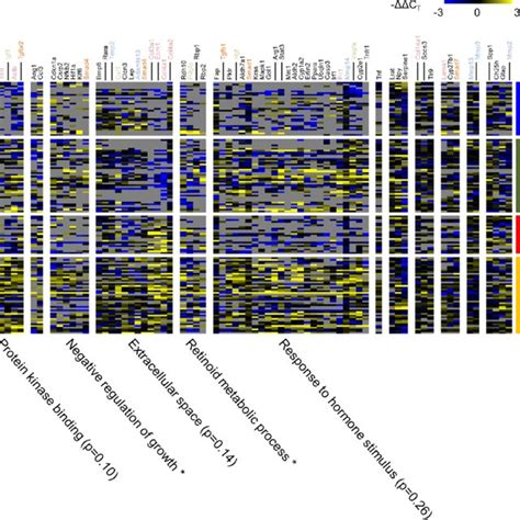 Heatmap Representation Of Gene Expression Values For Individual Hscs