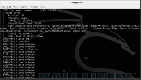 uniscan webserver fingerprinting tutorial in kali linux breach the