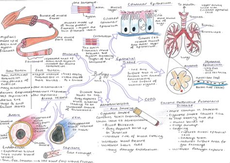 Btec Applied Science Level 3 Btec Criminal Investigation Unit 1 Biology